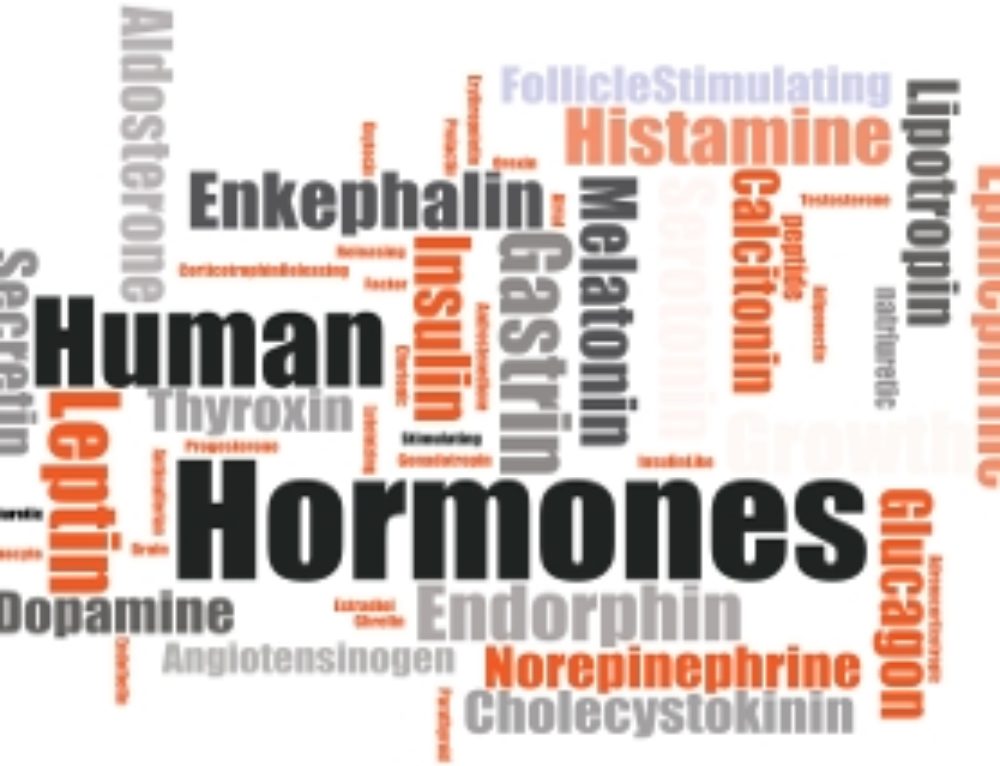 Neuroimaging and Depression - Shier Private Practice